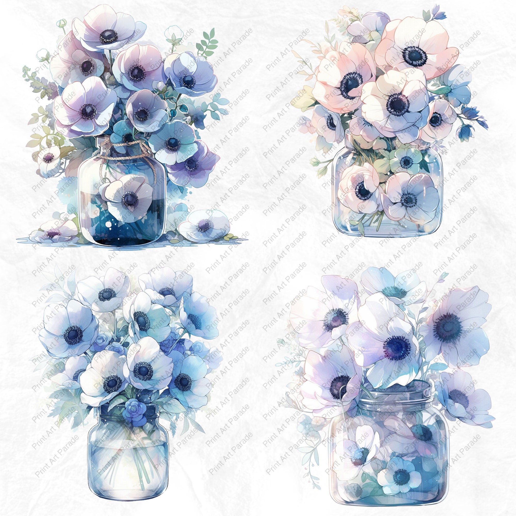 Watercolor Anemone Flower Clipart PNG Anemone Floral Digital Graphics ...