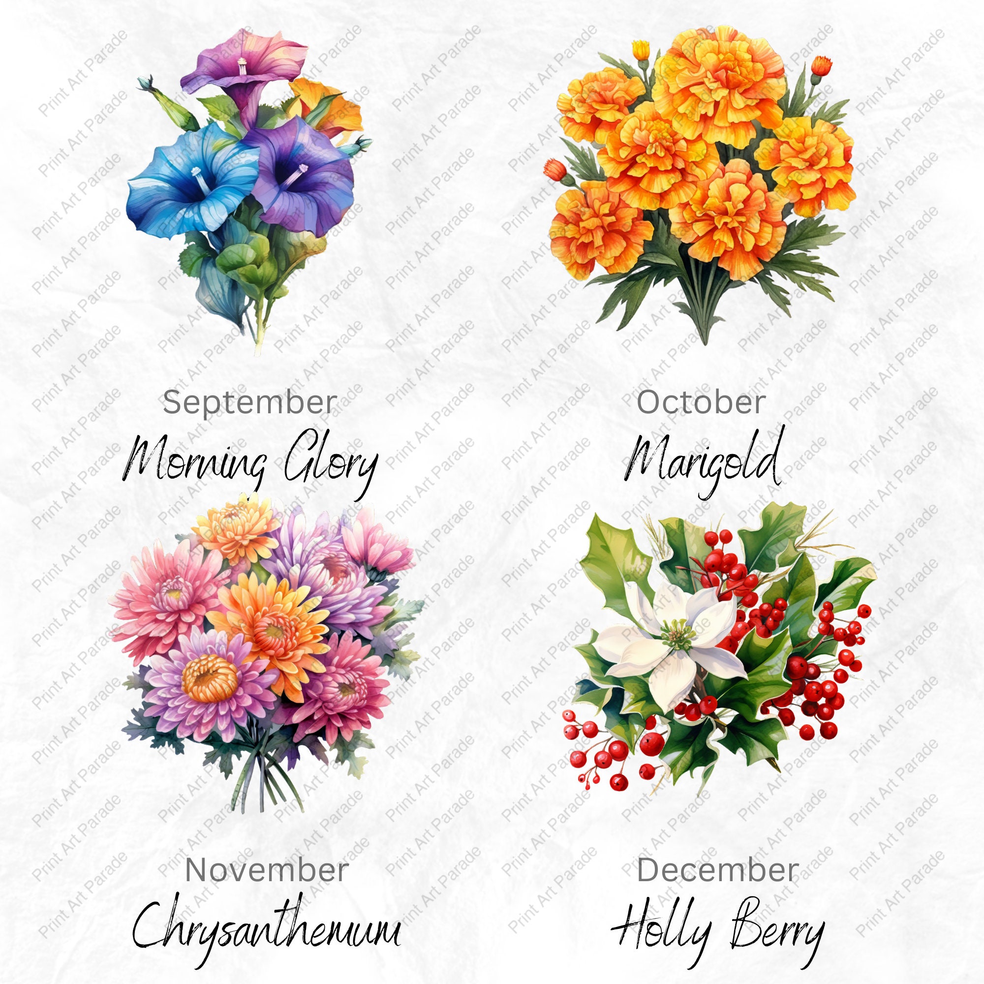 Watercolor Birth Month Flower Clipart PNG Birth Month Floral Bouquet ...