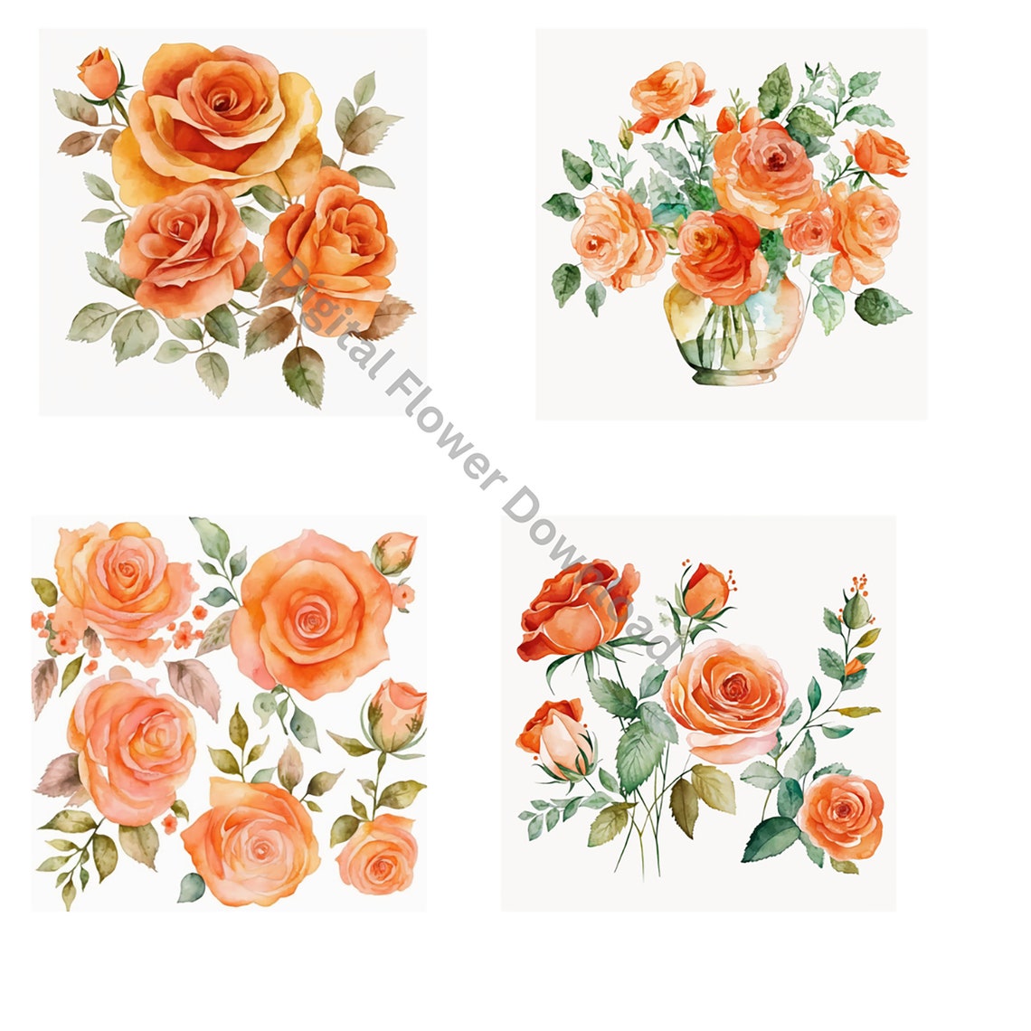 High-quality Watercolor Orange Rose Clipart for Digital Projects ...
