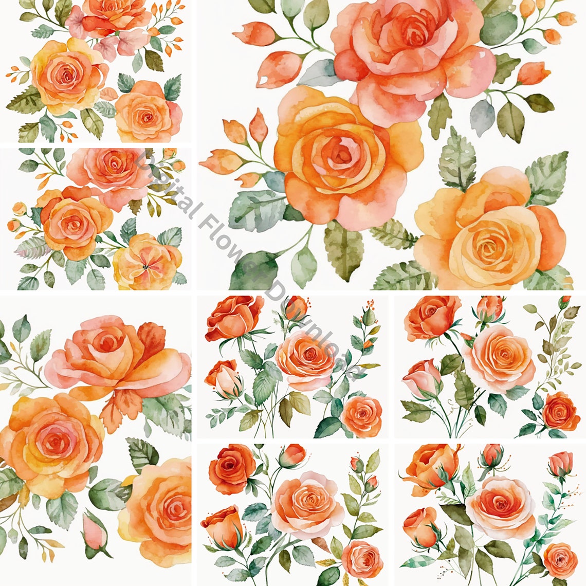 High-quality Watercolor Orange Rose Clipart for Digital Projects ...