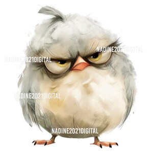 Set of 12 Grumpy Birds Clipart: Digital Art, Watercolor Clipart, High ...