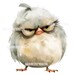 Set of 12 Grumpy Birds Clipart: Digital Art, Watercolor Clipart, High ...