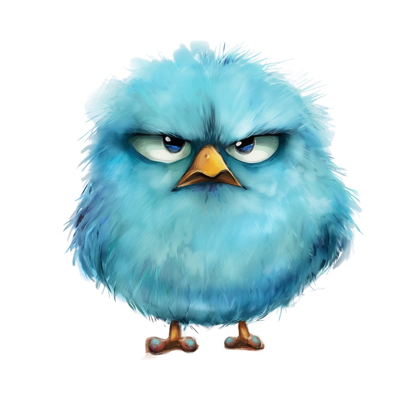 Set of 12 Grumpy Birds Clipart: Digital Art, Watercolor Clipart, High ...