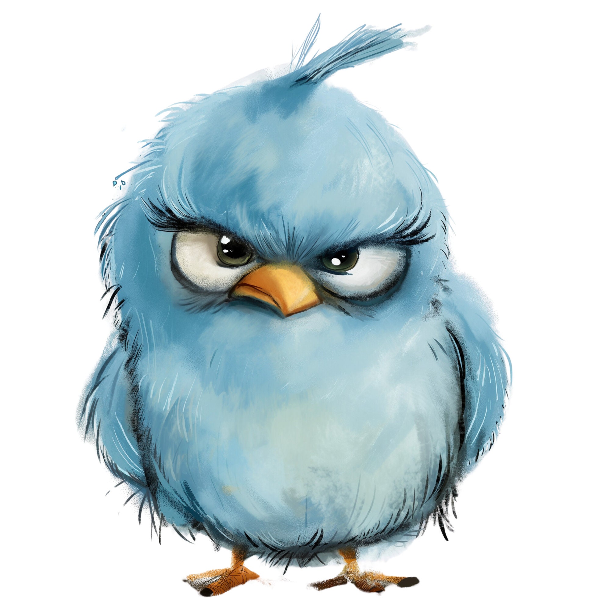 Set of 12 Grumpy Birds Clipart: Digital Art, Watercolor Clipart, High ...