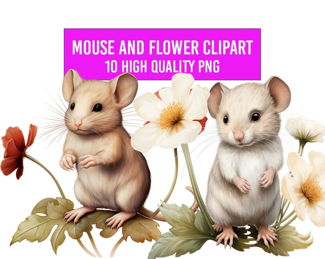 Mouse and Flowers Clipart - 10 High Quality Pngs, Transparent ...