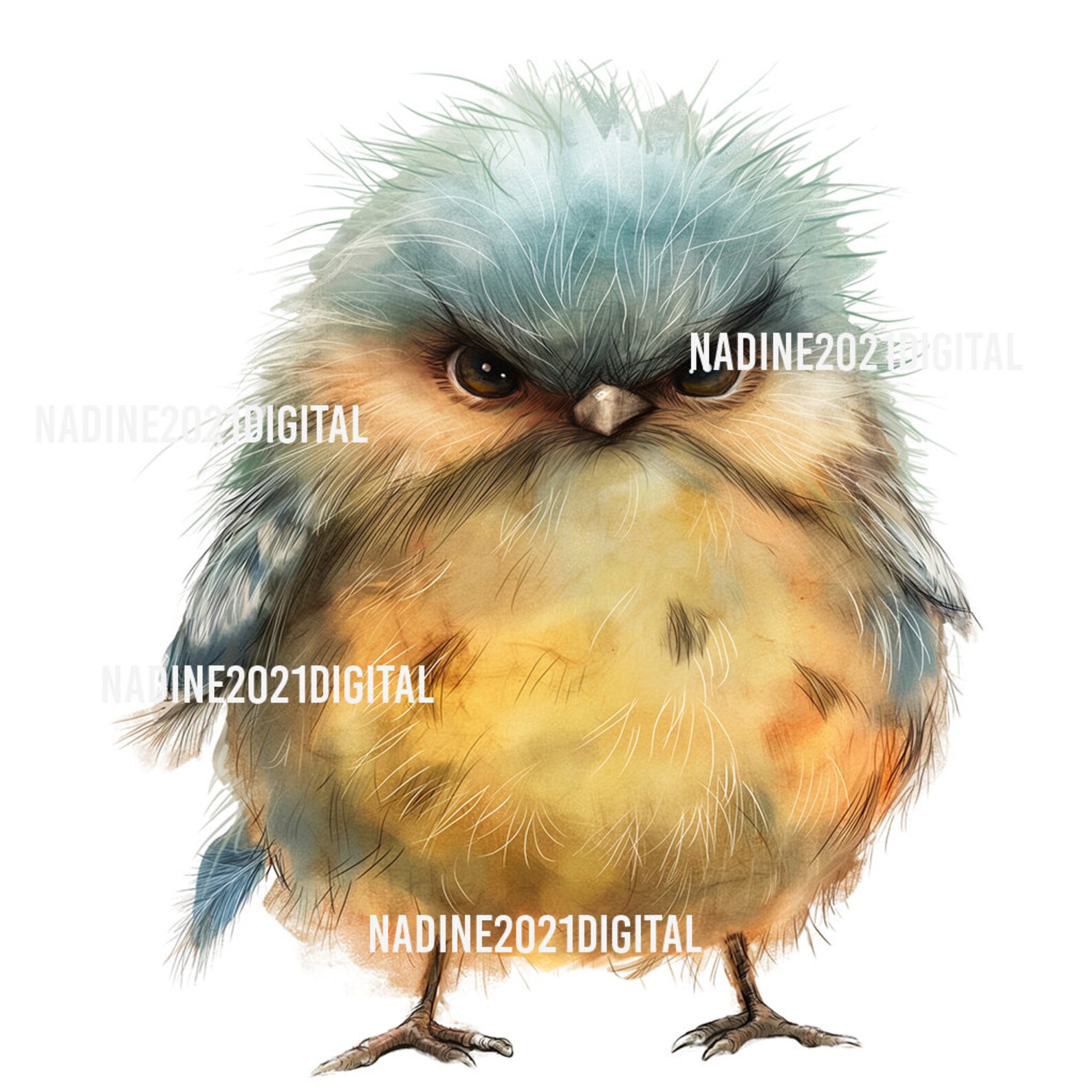Set of 12 Grumpy Birds Clipart: Digital Art, Watercolor Clipart, High ...