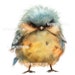 Set of 12 Grumpy Birds Clipart: Digital Art, Watercolor Clipart, High ...