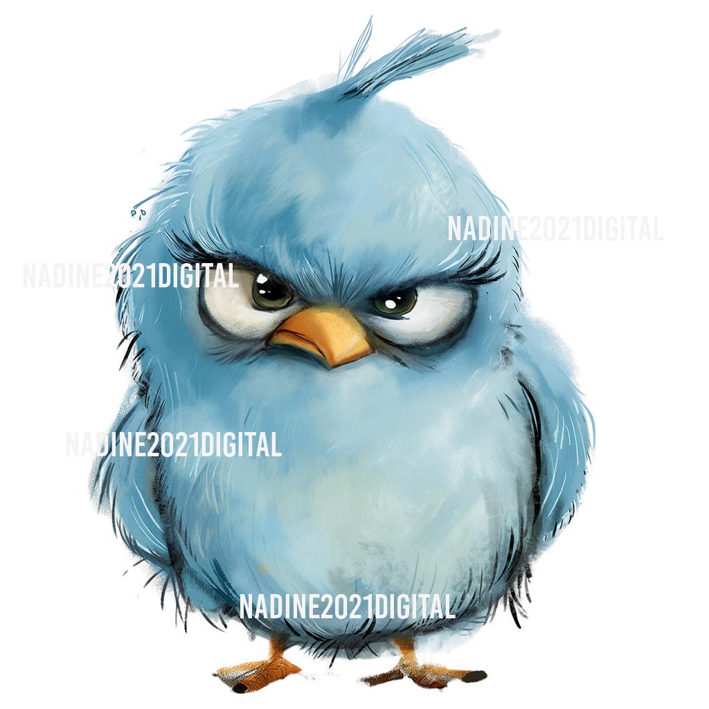 Set of 12 Grumpy Birds Clipart: Digital Art, Watercolor Clipart, High-quality Pngs, Print-ready ...