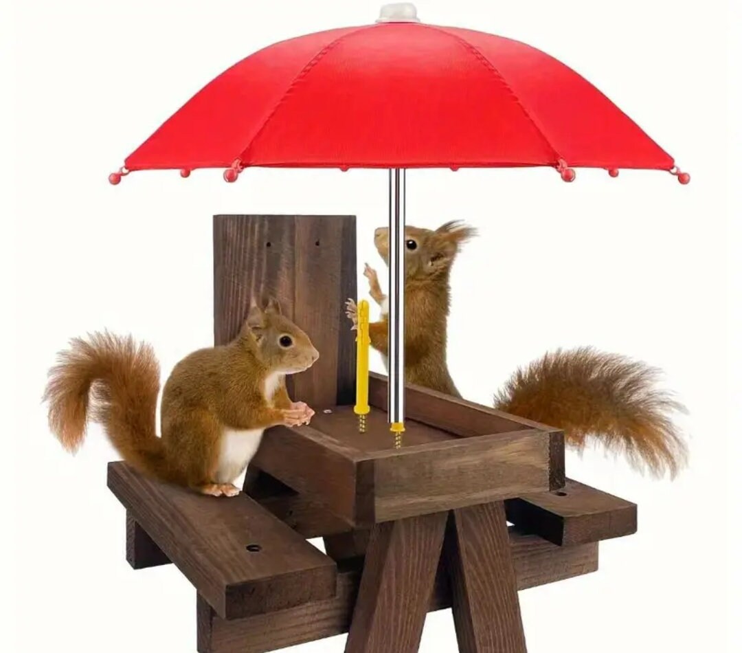 Squirrel Feeder Bench With Umbrella Christmas Gift for Granny Squirrels ...