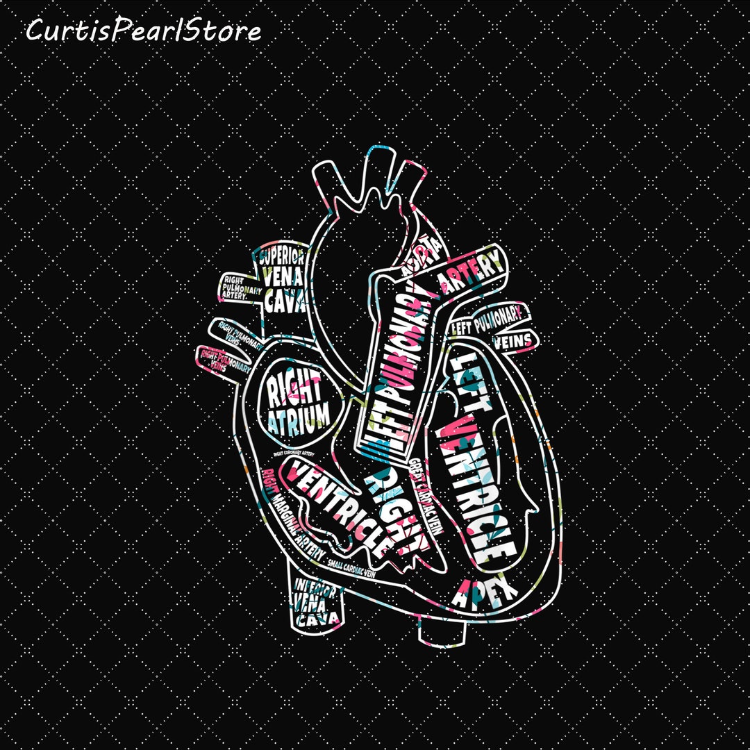 Cardiac Heart Png, Anatomical Heart Png, Cardiac ICU Nurse Png ...
