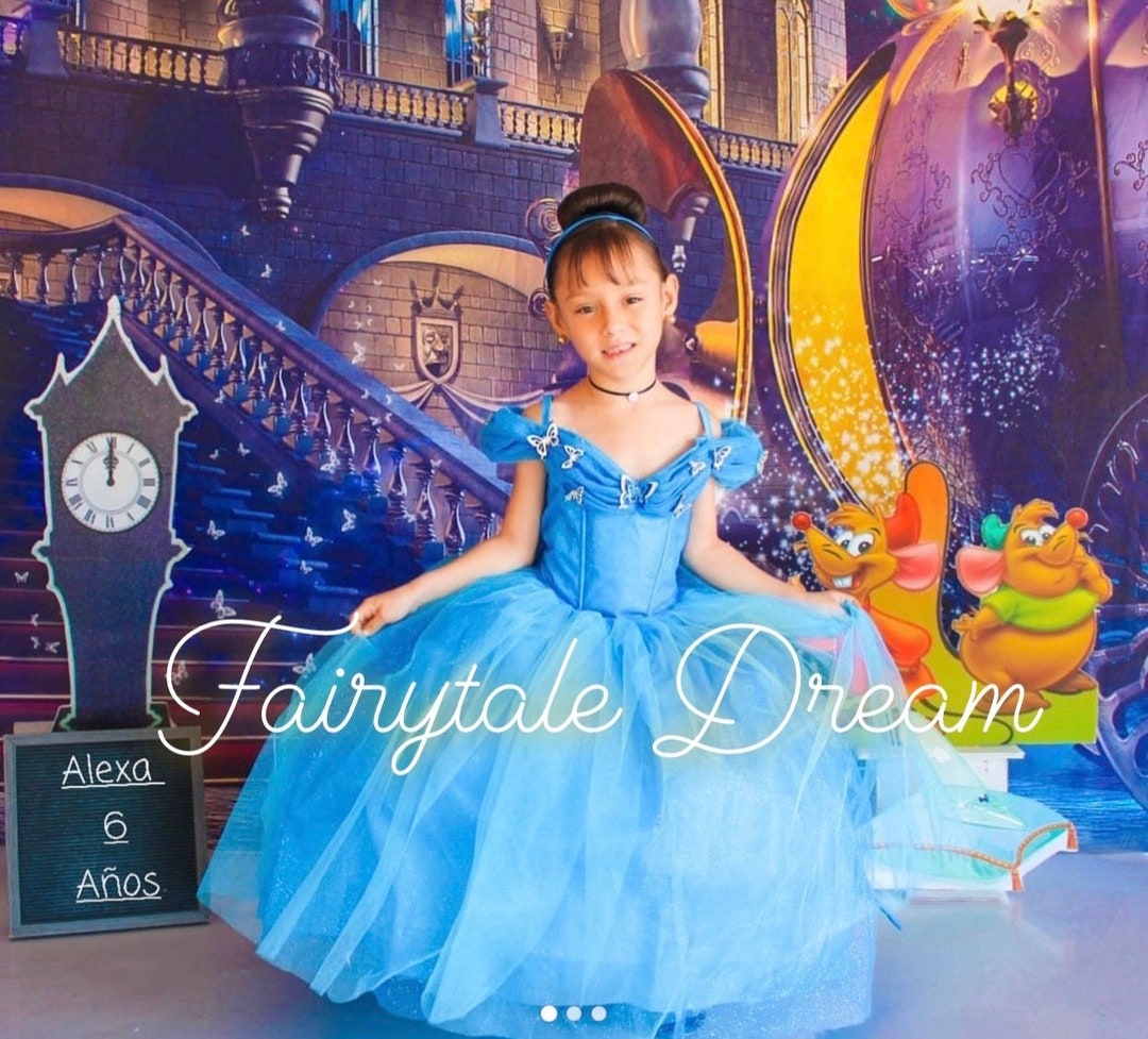 Cinderella Princess Dress / Cinderella Cosplay / Cinderella Costume ...