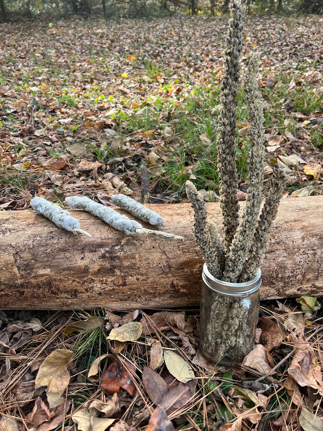 Mullein Stalk and Candles - Etsy