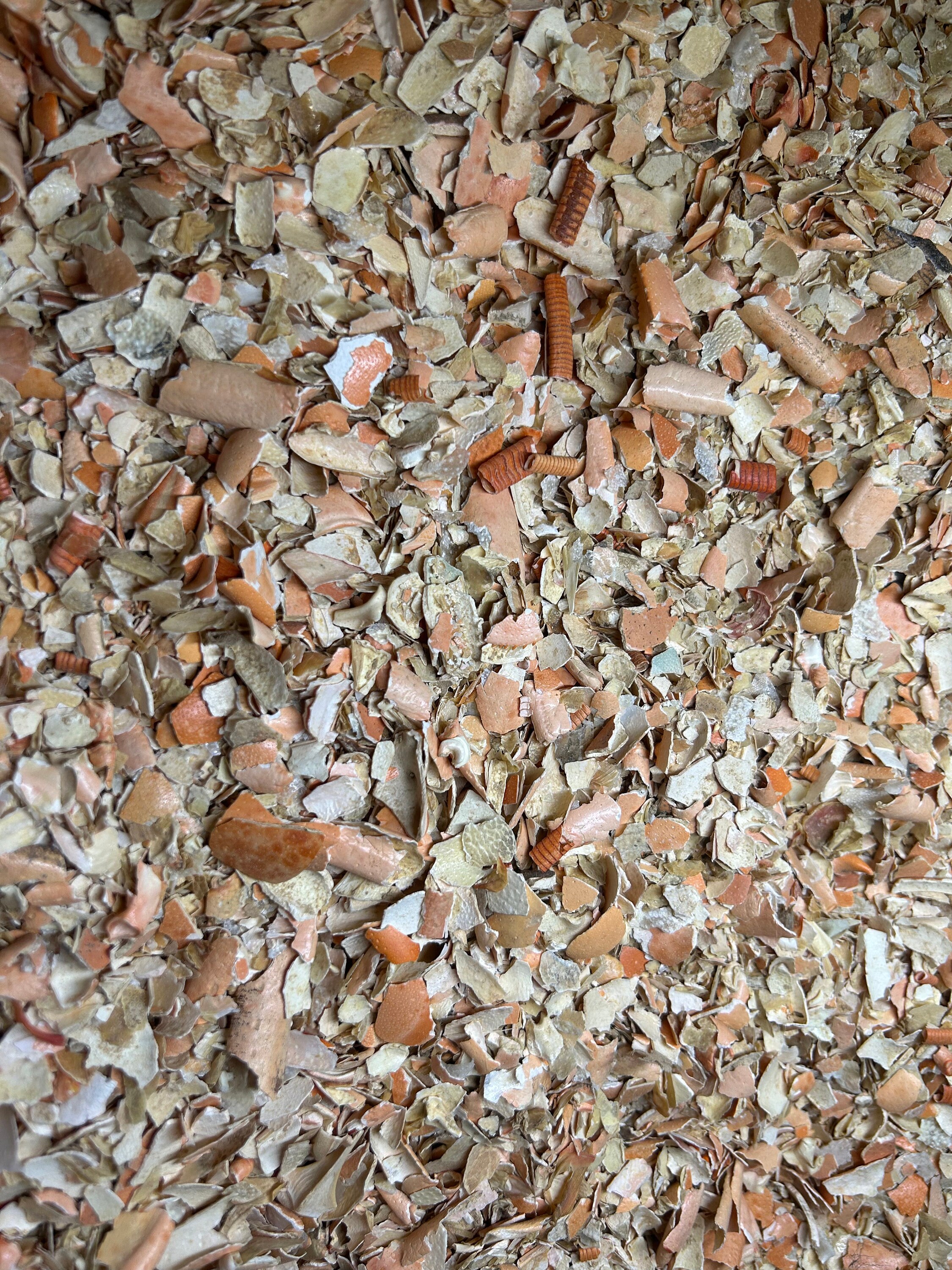 Crab & Lobster Shells Single Ingredient - Etsy