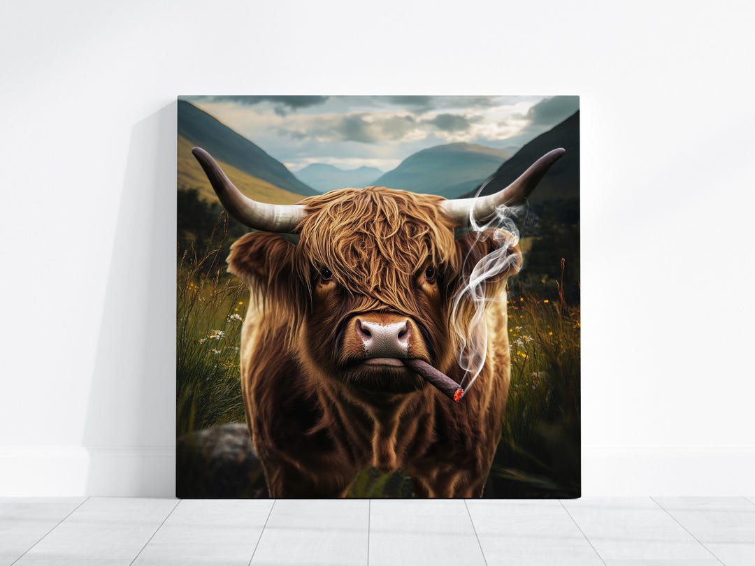 Ready to Hang HIGHLAND COW CANVAS - Cow Smoking Cigar Funny Man Cave ...