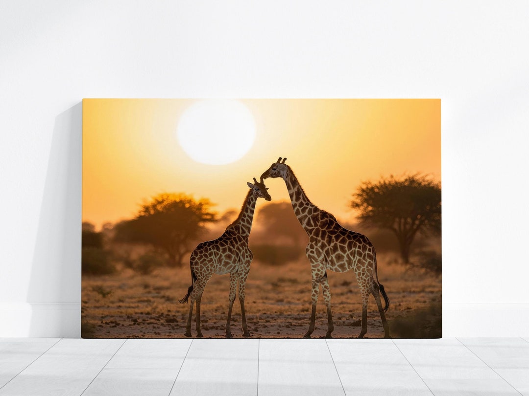 Ready to Hang GIRAFFE CANVAS Large Horizontal Romantic Cute Animal ...