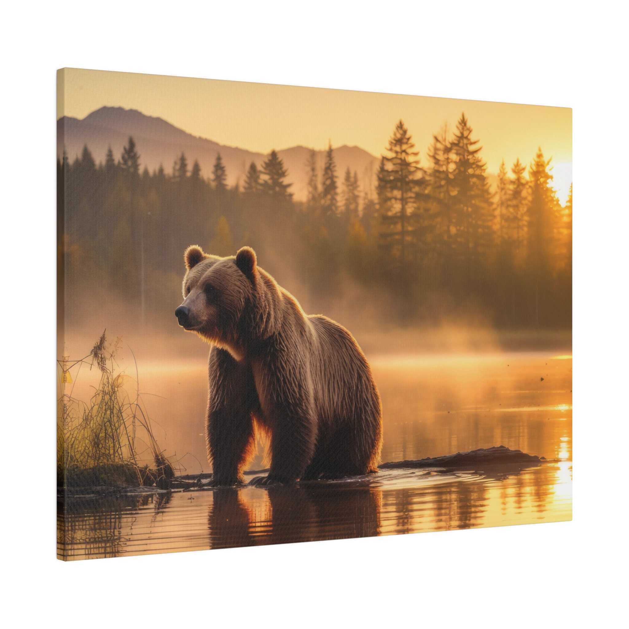 Ready to Hang BEAR CANVAS Large Horizontal Framed POSTER Wall Art ...