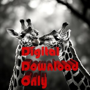 Cute Giraffe Couple Kissing Digital Print Animal Poster Printable Wall ...