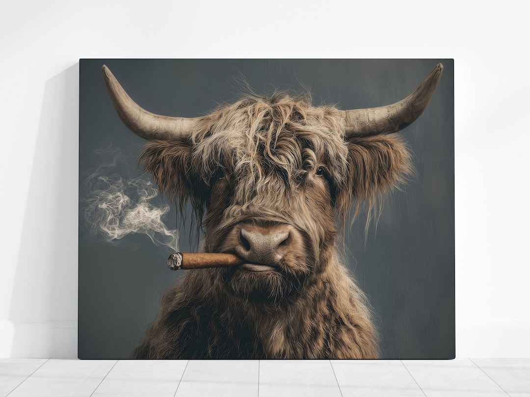 Ready to Hang HIGHLAND COW CANVAS - Cool Cow Smoking a Cigar Poster ...