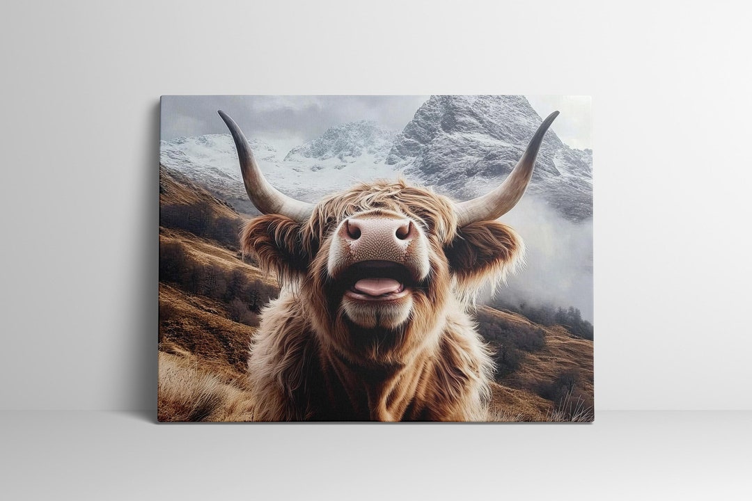 Ready to Hang HIGHLAND COW CANVAS - Funny Cow Lover Gift Smiling in ...