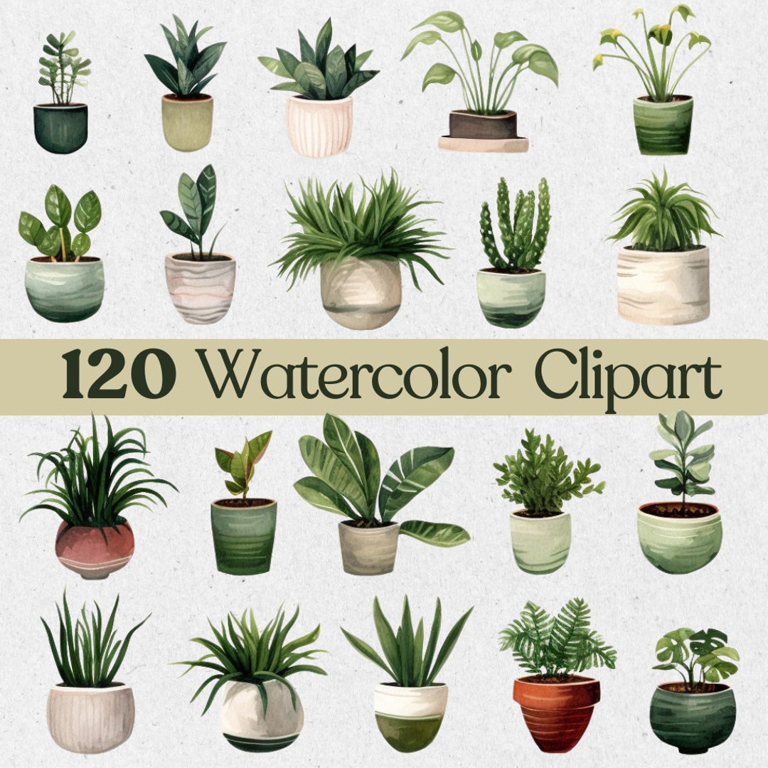 120 Watercolor Boho House Plants Clipart, Succulents Bundle, PNG ...
