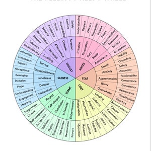 Feelings Needs Wheel: Therapy Emotion Chart (PDF, PNG) - Etsy