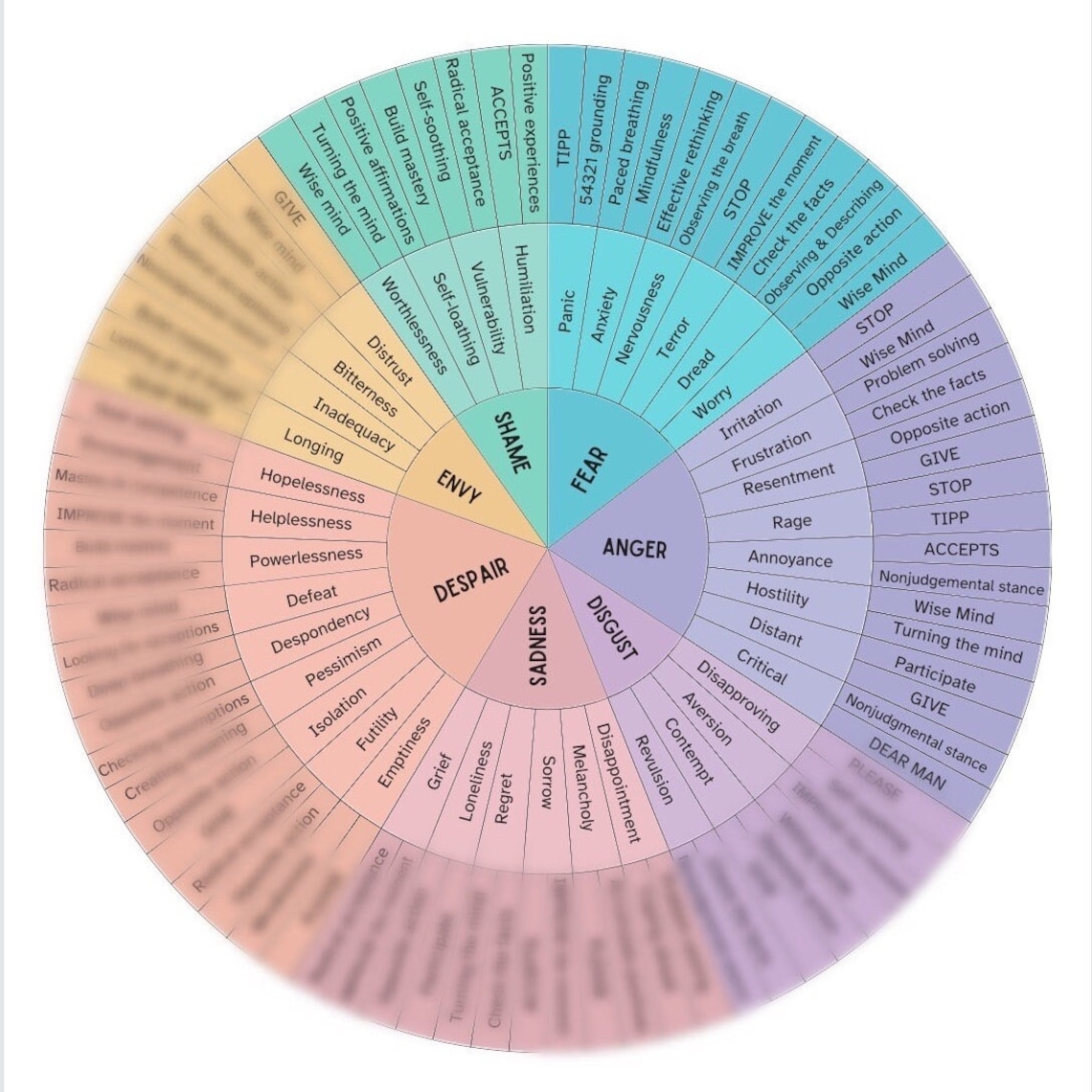 DBT Feelings Skills Wheel: Therapy Tool, Mental Health Poster (PDF) - Etsy