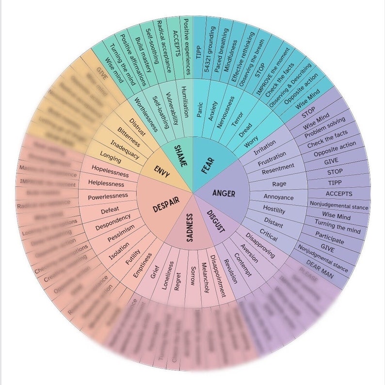 DBT Feelings Skills Wheel: Therapy Tool, Mental Health Poster (PDF) - Etsy