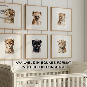 Safari Nursery Decor, Set of 6, Wild Cat Animal Wall Prints Cheetah ...