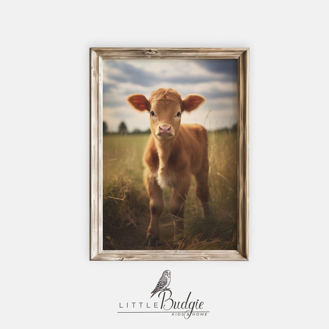 Cow Home Decor and Nursery Wall Art, Rustic Farmhouse Decor Print ...