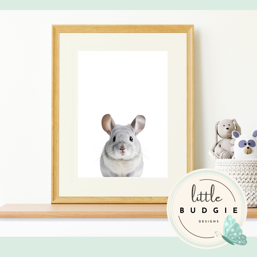 Baby Chinchilla Digital Wall Art, Cute Chinchilla, Cute Farm Baby ...