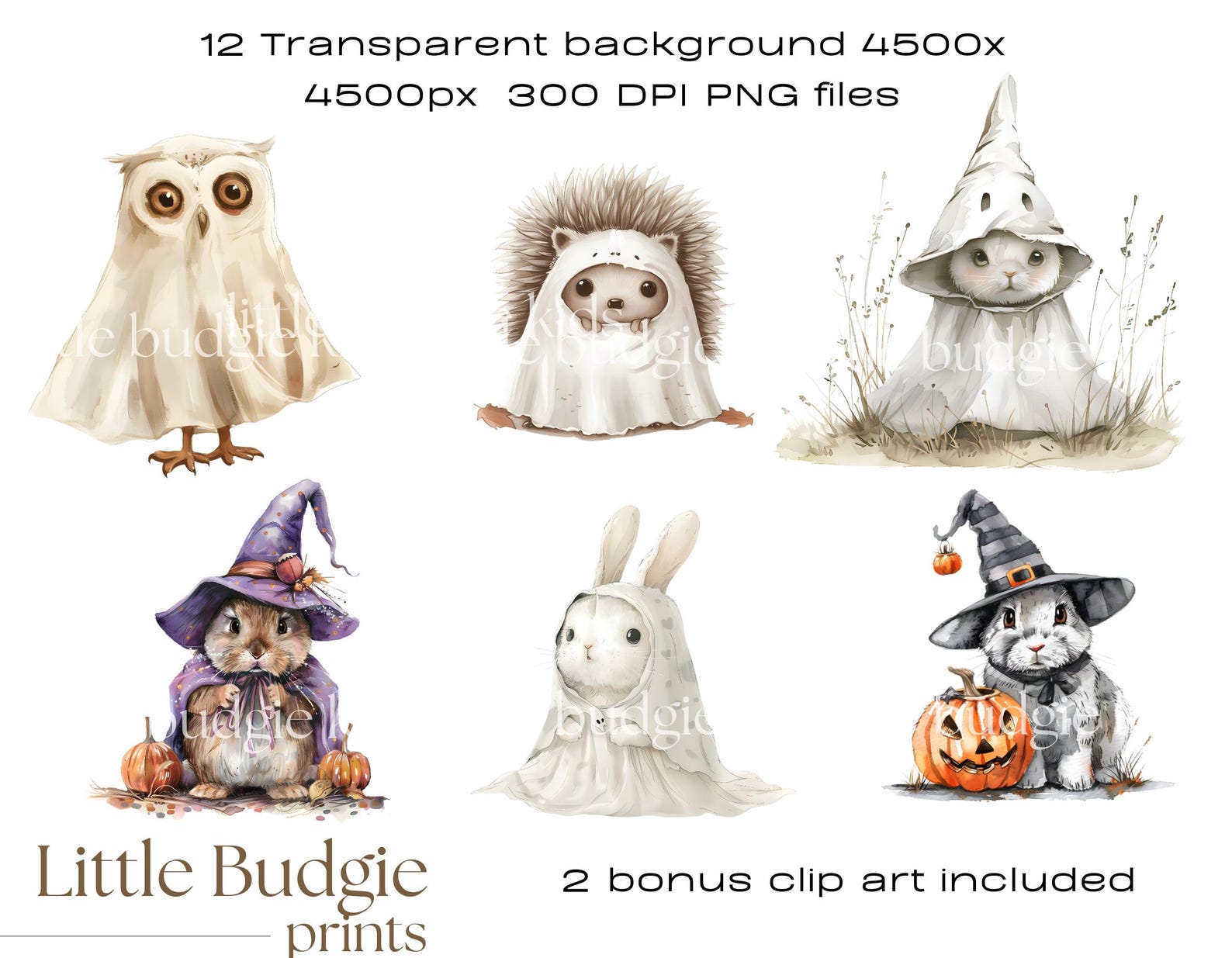 Halloween Animal Clip Art, Cute Ghost and Witch Watercolor Bundle of 12 ...