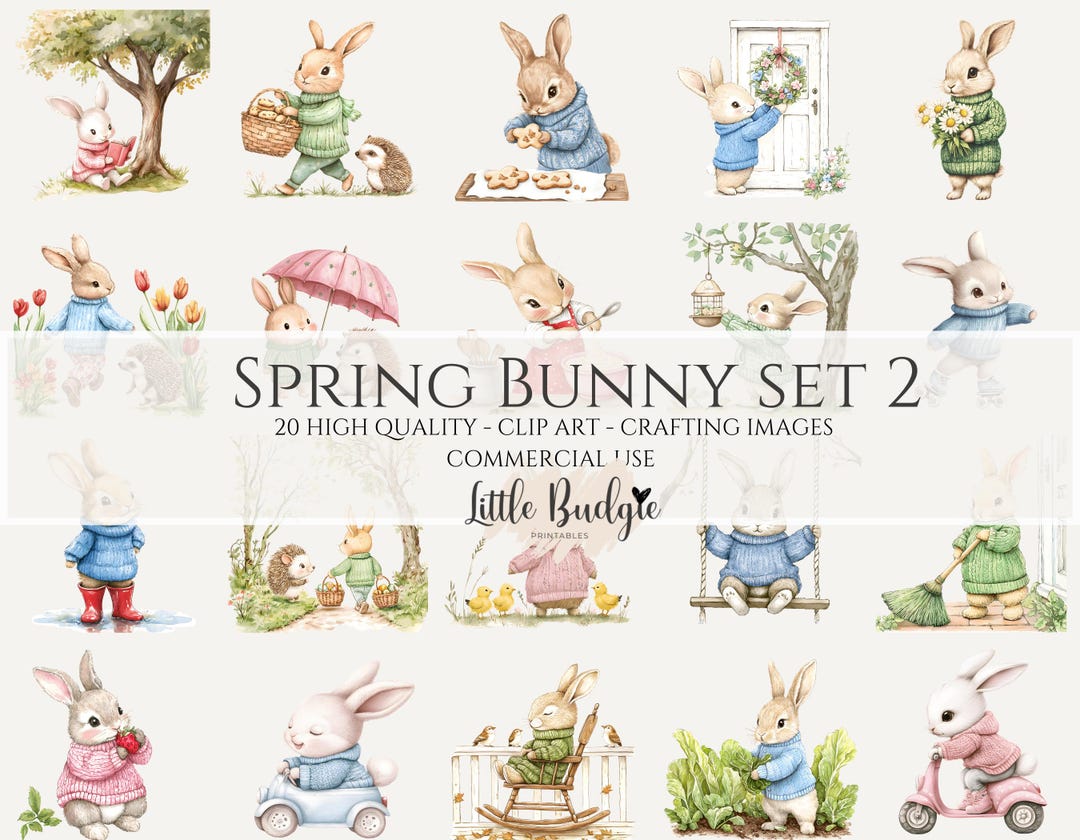 Bunny Clip Art: Spring Rabbit PNG Images (digital Download) - Etsy