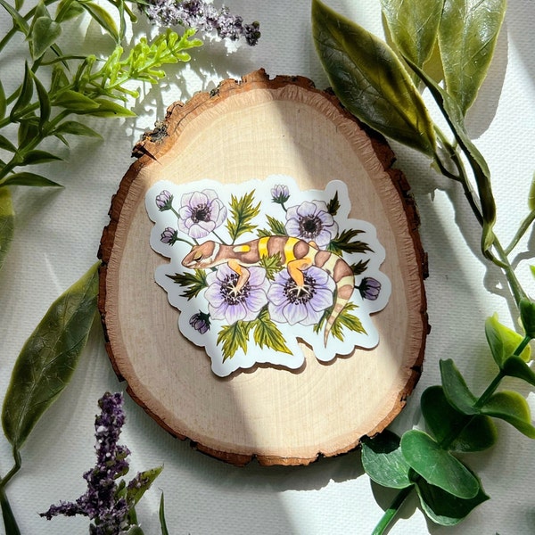 Leopard Gecko - Etsy