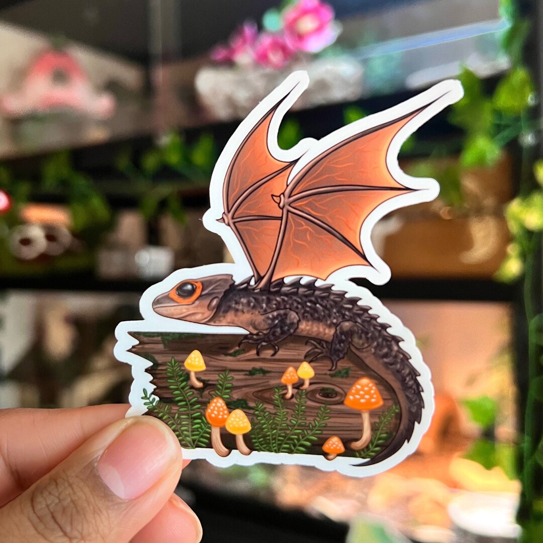 Crocodile Skink Dragon ~ Red Eyed Crocodile Skink, Reptile Art, Cute ...