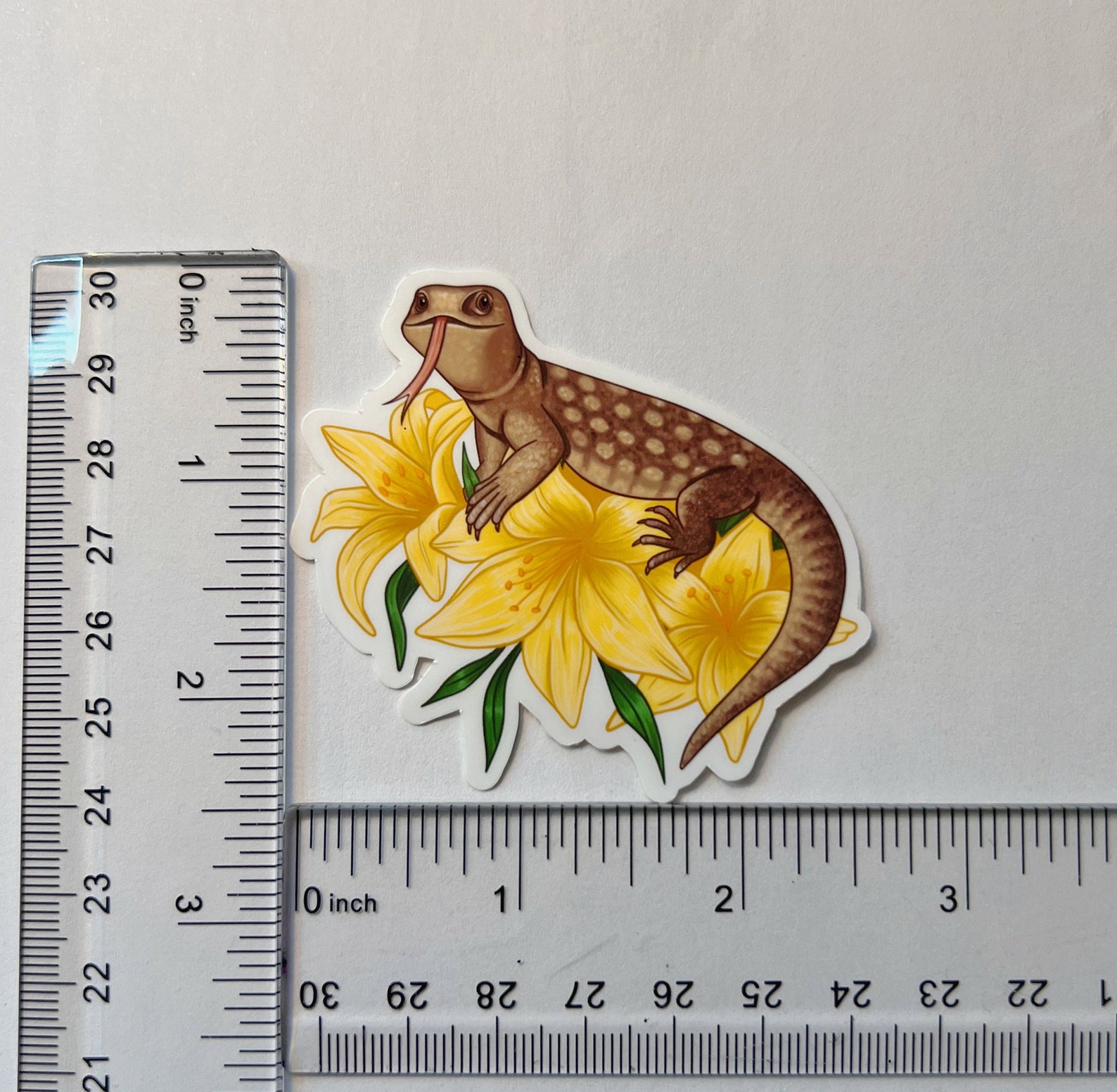 Savannah Monitor Sticker Fairy Sticker, Reptile Art, Cute Animal ...