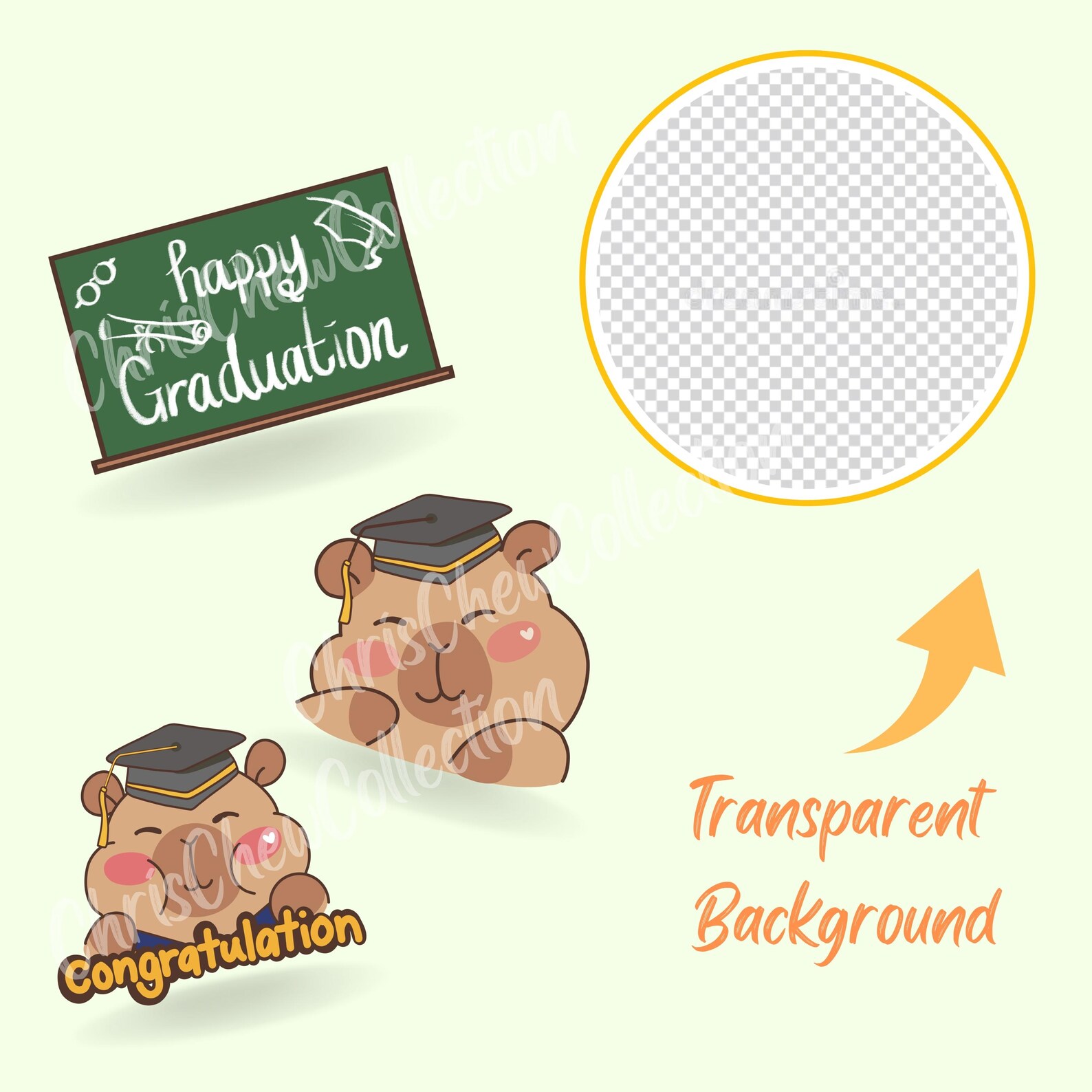 Cute Capybara Graduation 20 PNG\ Capybara Clipart Bundle \ Anime ...