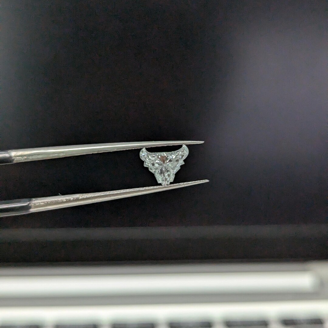 Bull Shape 1.00ct Lab Grown Diamond, Unique Shape Diamond, EF Color, VS ...