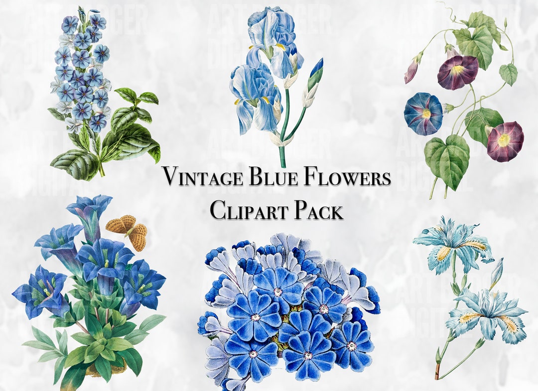 Blue Flowers Clipart Bundle, Vintage Botanical Illustrations, PNG ...