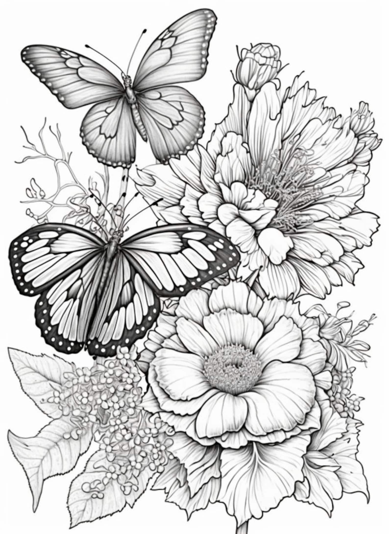 Printable PDF Butterfly Coloring Book for Adults and Teens | 100 ...