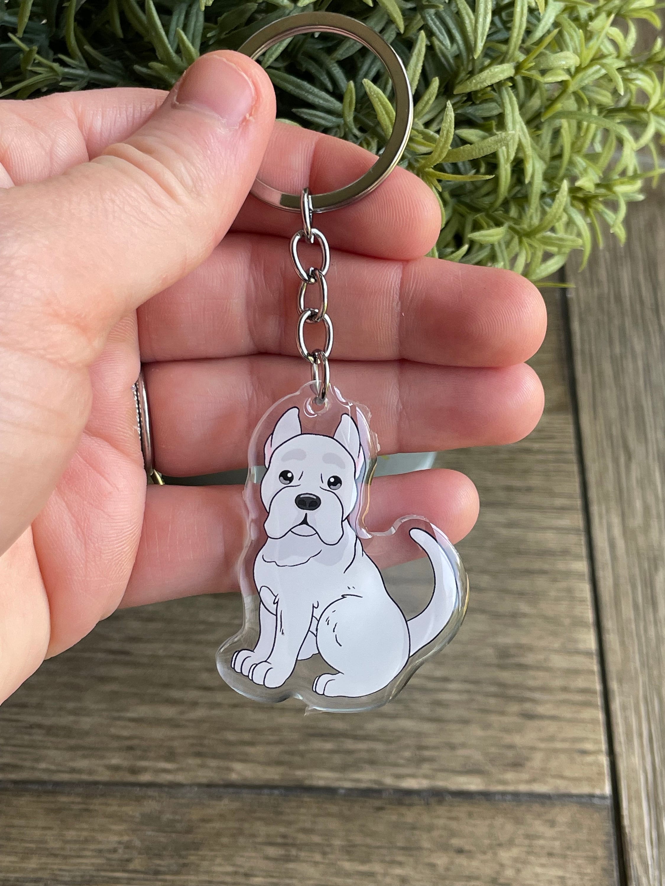2 Inch Clear Acrylic Keychains Dogo Argentino Cute Dogs, Puppies ...