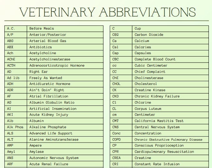 The Ultimate Guide to Veterinary Medical Abbreviations and Terminology ...