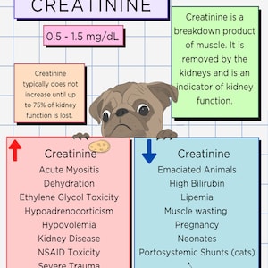 Veterinary Blood Chemistry Digital Guide: Science of Veterinary ...