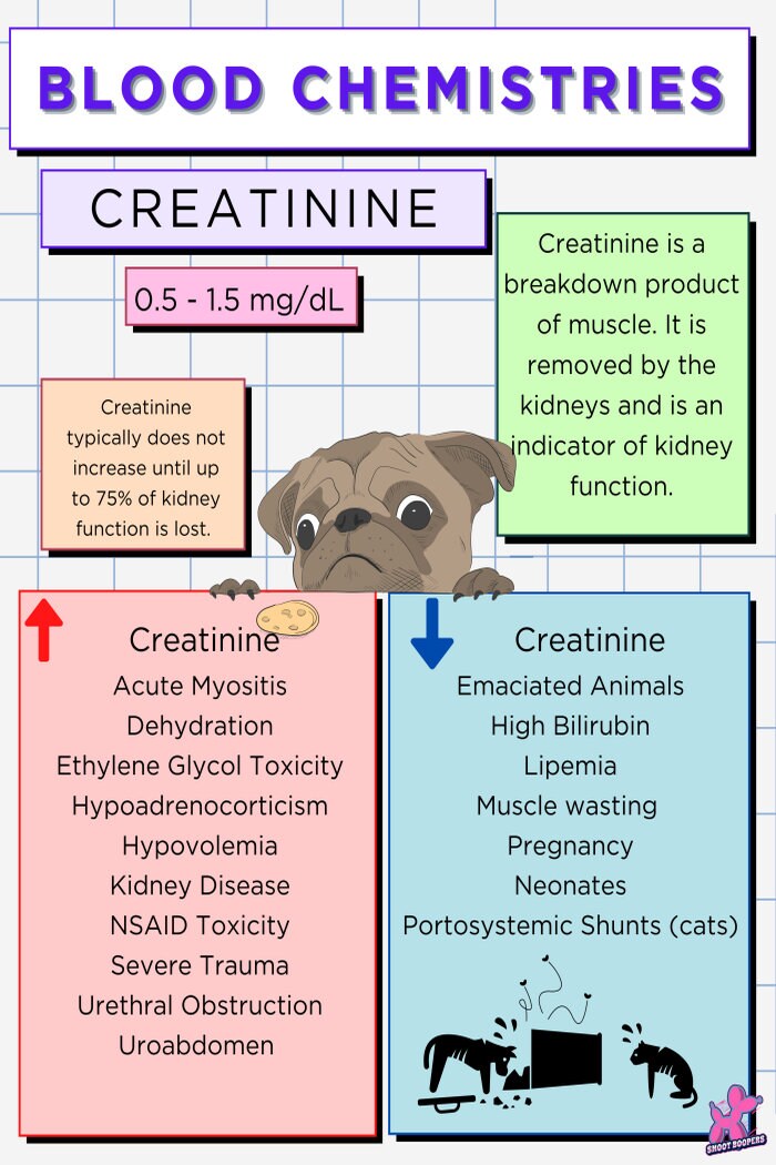 Veterinary Blood Chemistry Digital Guide: Science of Veterinary ...