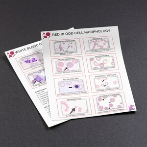 Veterinary Hematology Digital Reference Guide - Etsy