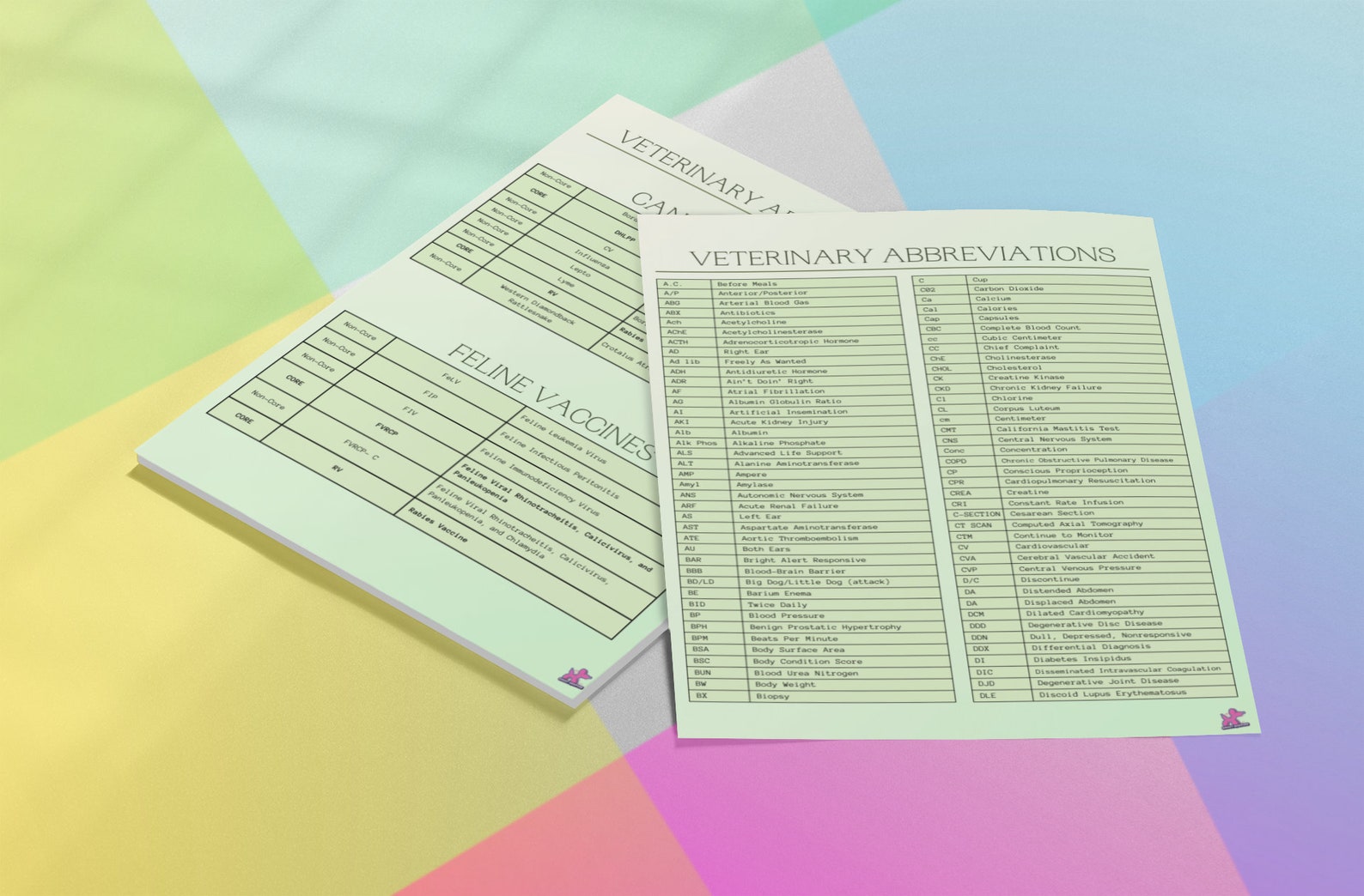 The Ultimate Guide to Veterinary Medical Abbreviations and Terminology ...