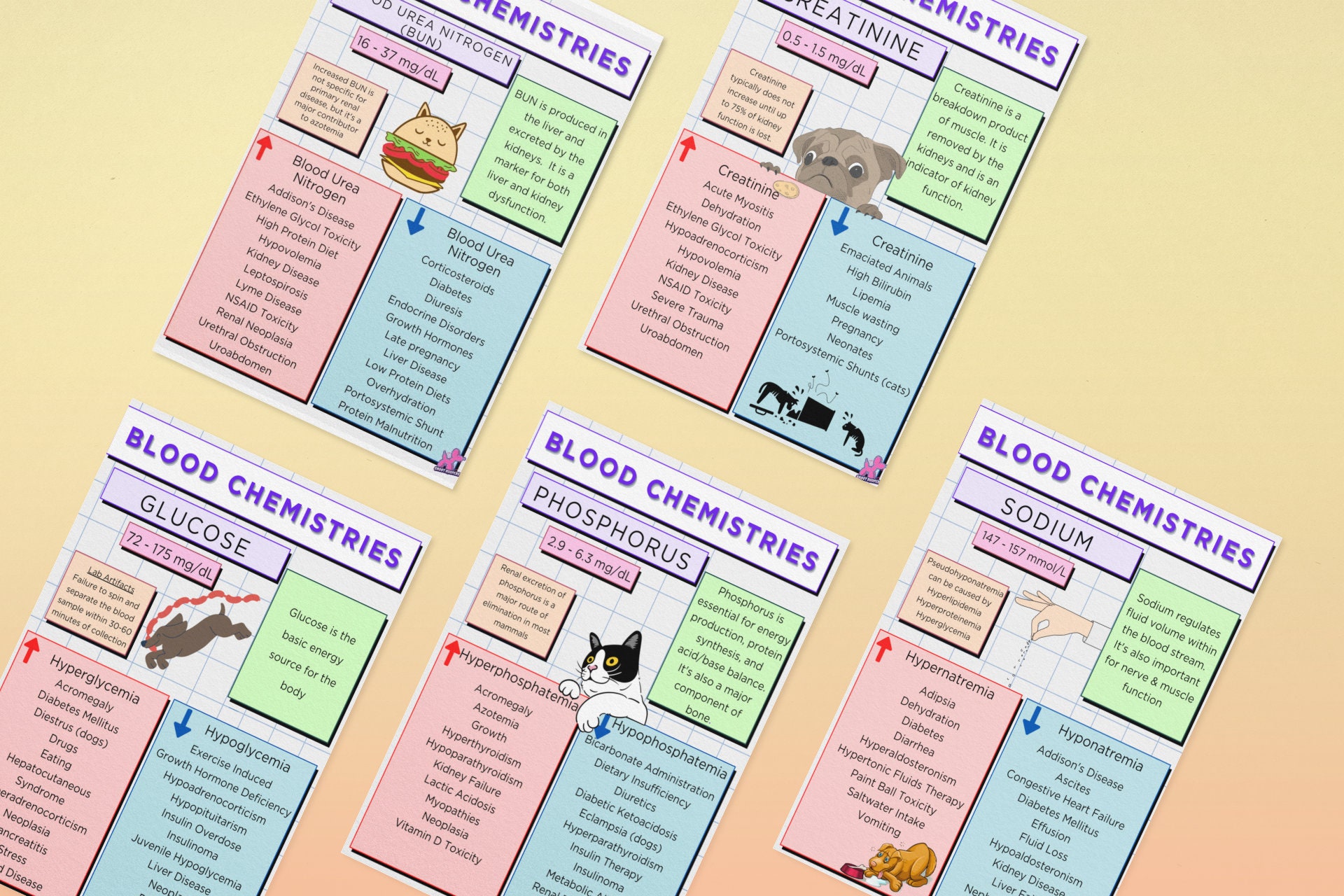 Veterinary Blood Chemistry Digital Guide: Science of Veterinary ...