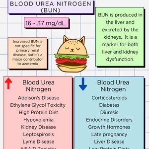 Veterinary Blood Chemistry Digital Guide: Science of Veterinary ...