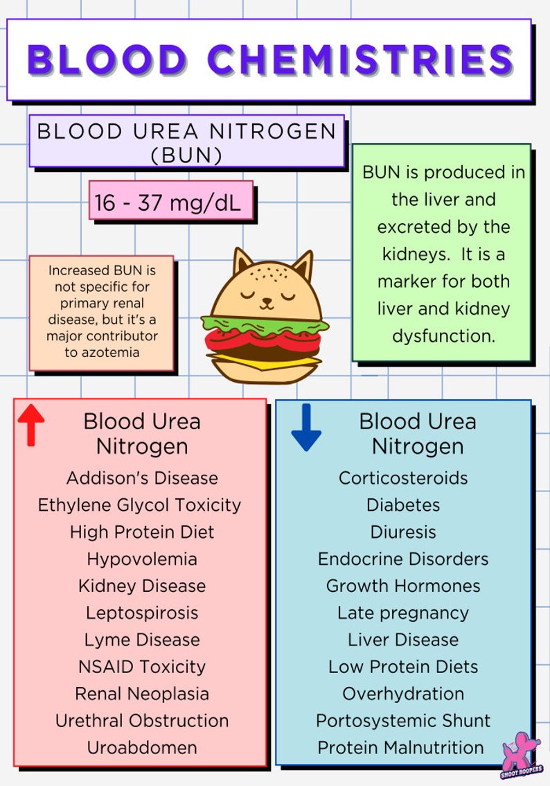 Veterinary Blood Chemistry Digital Guide: Science of Veterinary ...