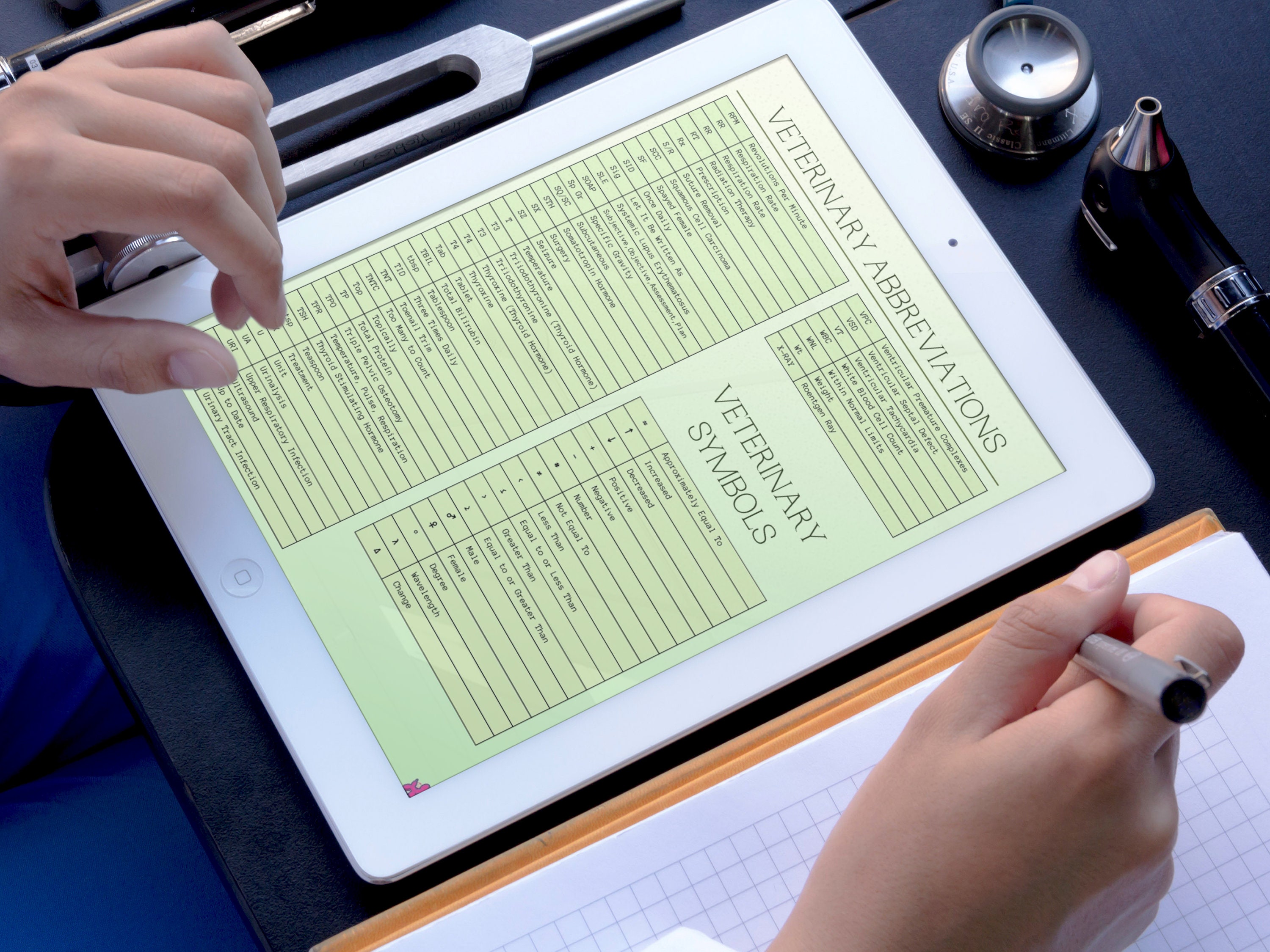 The Ultimate Guide to Veterinary Medical Abbreviations and Terminology ...