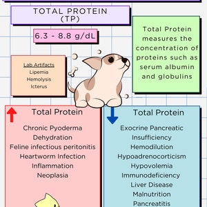 Veterinary Blood Chemistry Digital Guide: Science of Veterinary ...